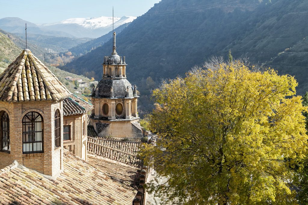Acerca de la Abadía - Proyecto Abadia